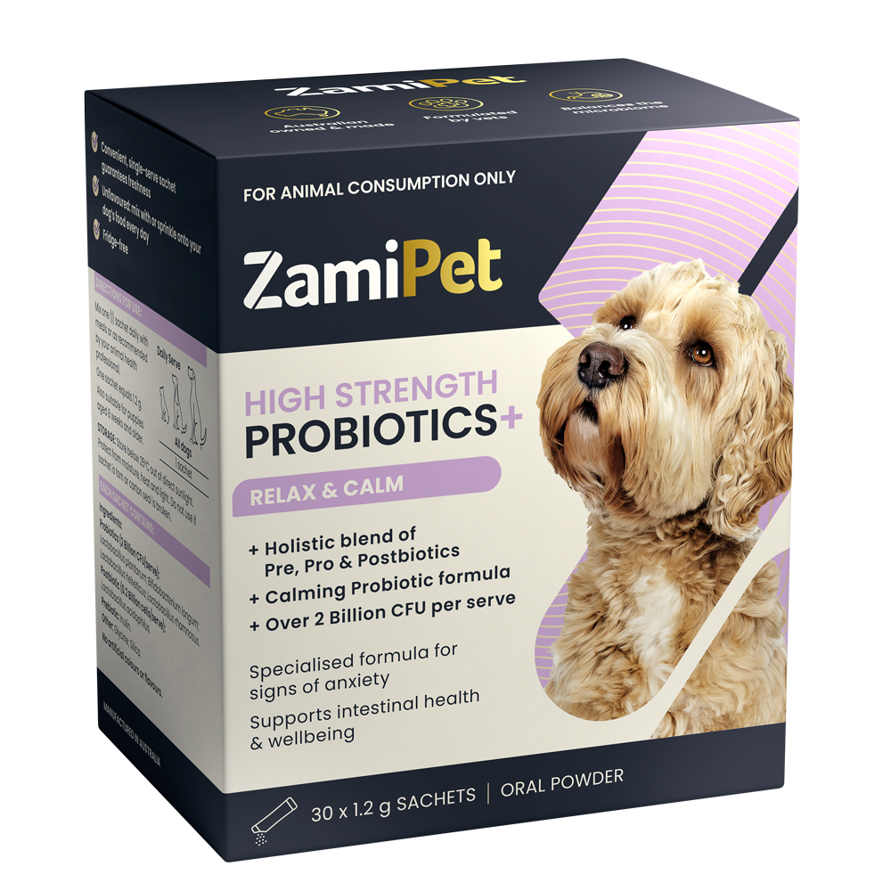 Zamipet Probiotics for Dogs | Relax and Calm to Relieve Dog Anxiety ...