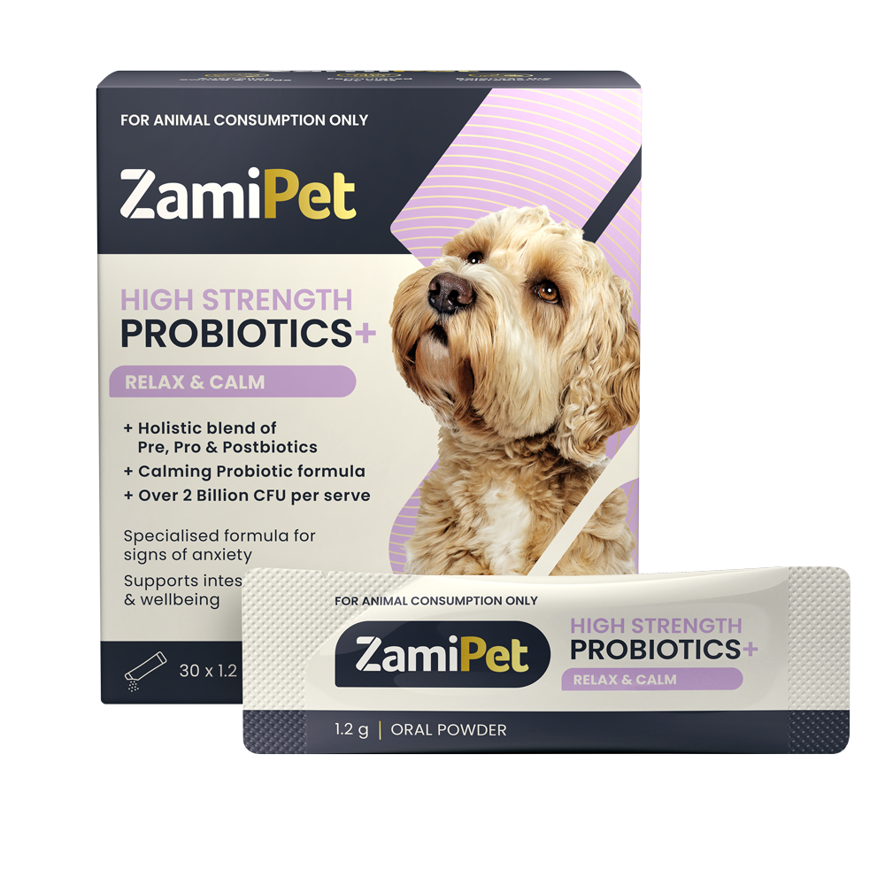 Zamipet Probiotics for Dogs | Relax and Calm to Relieve Dog Anxiety ...