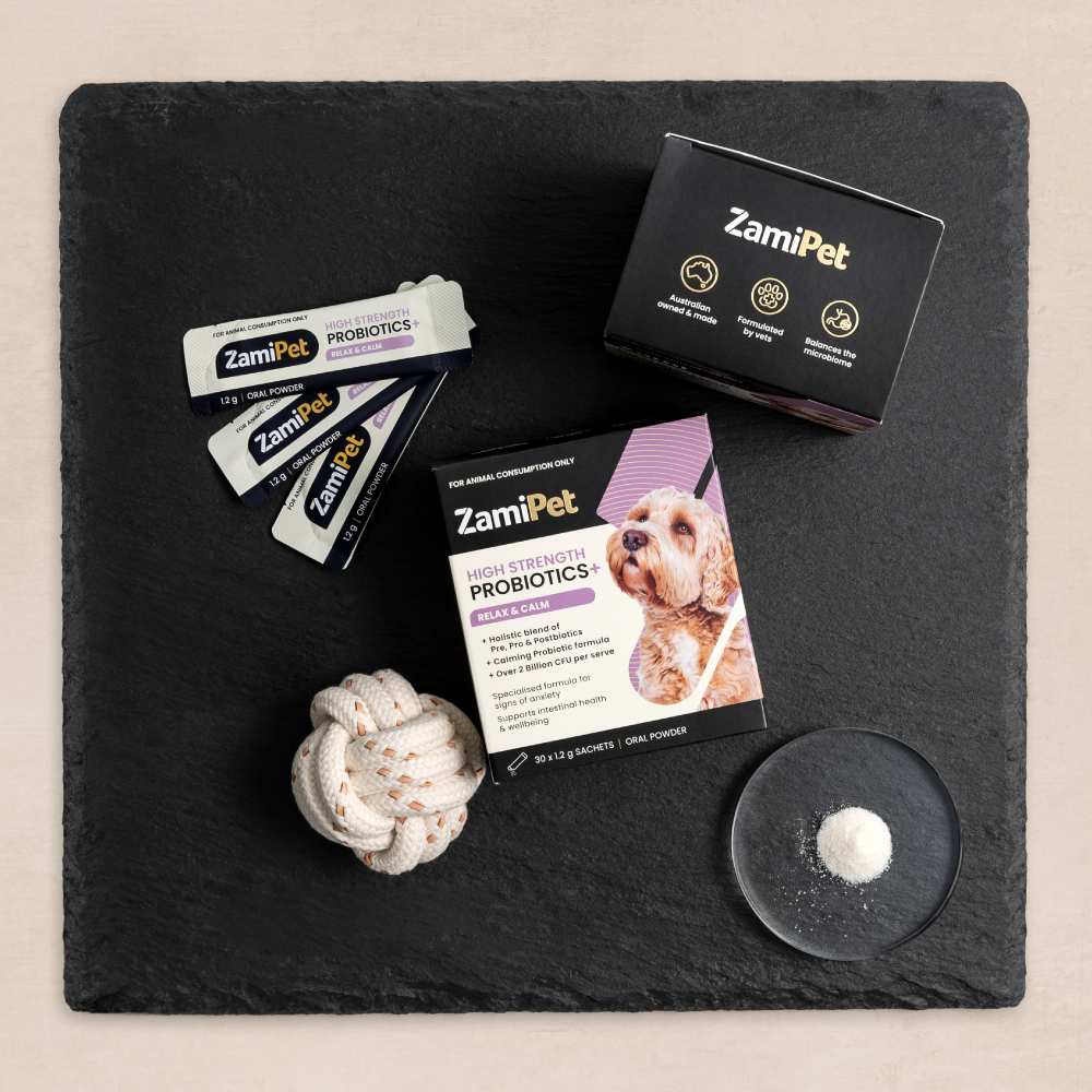 Zamipet Probiotics for Dogs | Relax and Calm to Relieve Dog Anxiety ...