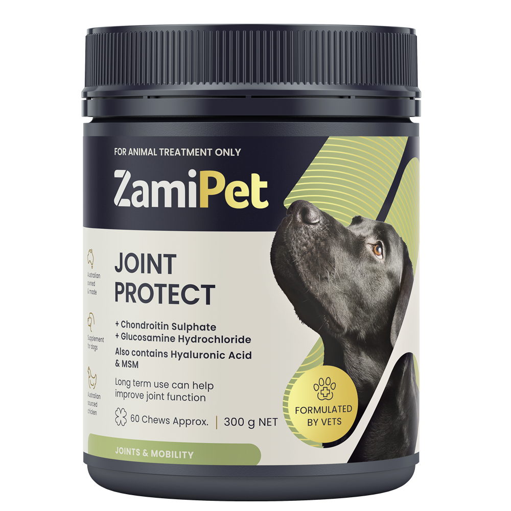 Joint Protect Chewable Dog Supplement | ZamiPet Australia