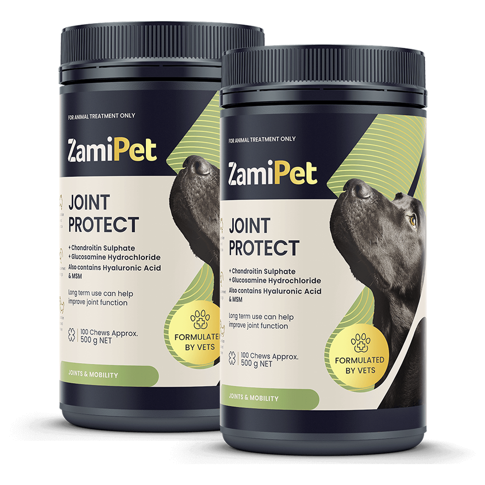 Joint Protect 500g Dog Supplement Double Pack – ZamiPet