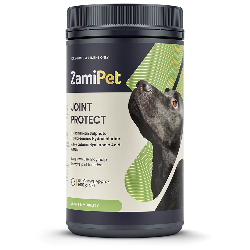 Joint Protect Chewable Dog Supplement | ZamiPet Australia