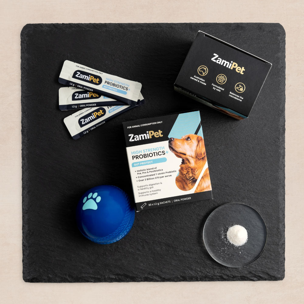 ZamiPet High Strength Probiotics for Dogs - Buy Online