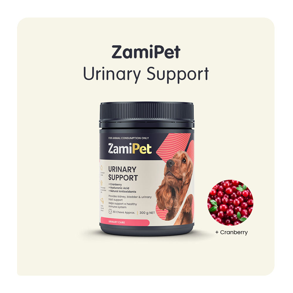 ZamiPet Urinary Support Super Pack | ZamiPet