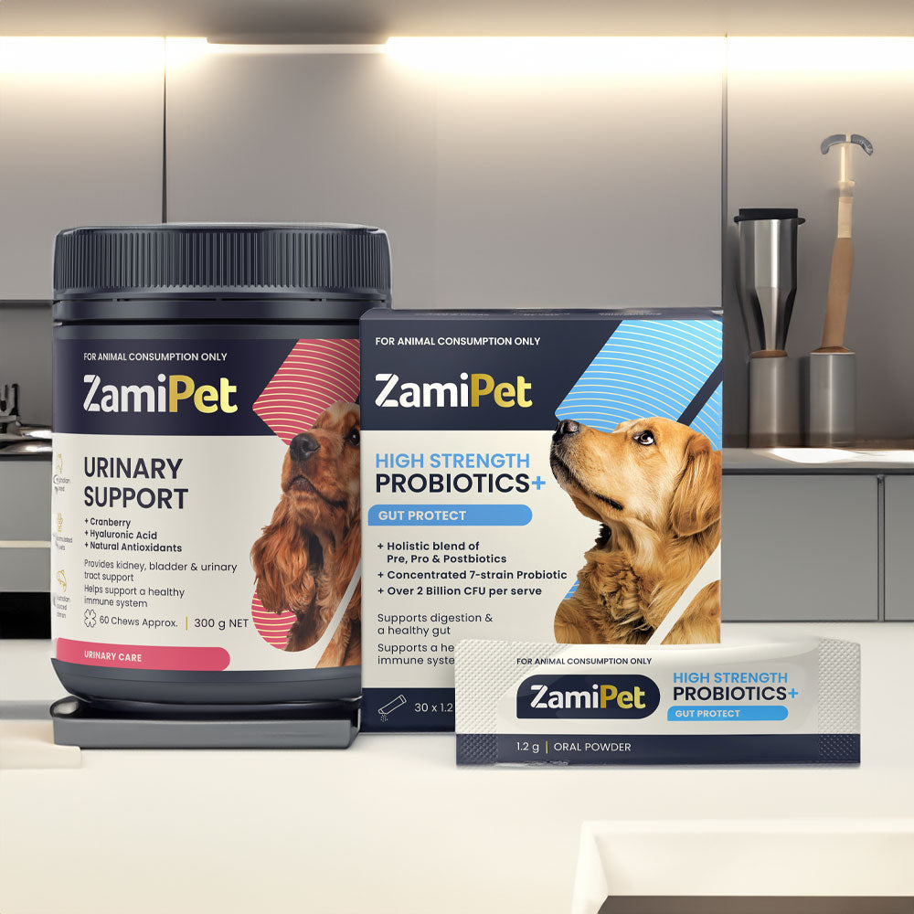 ZamiPet Urinary Support Super Pack | ZamiPet